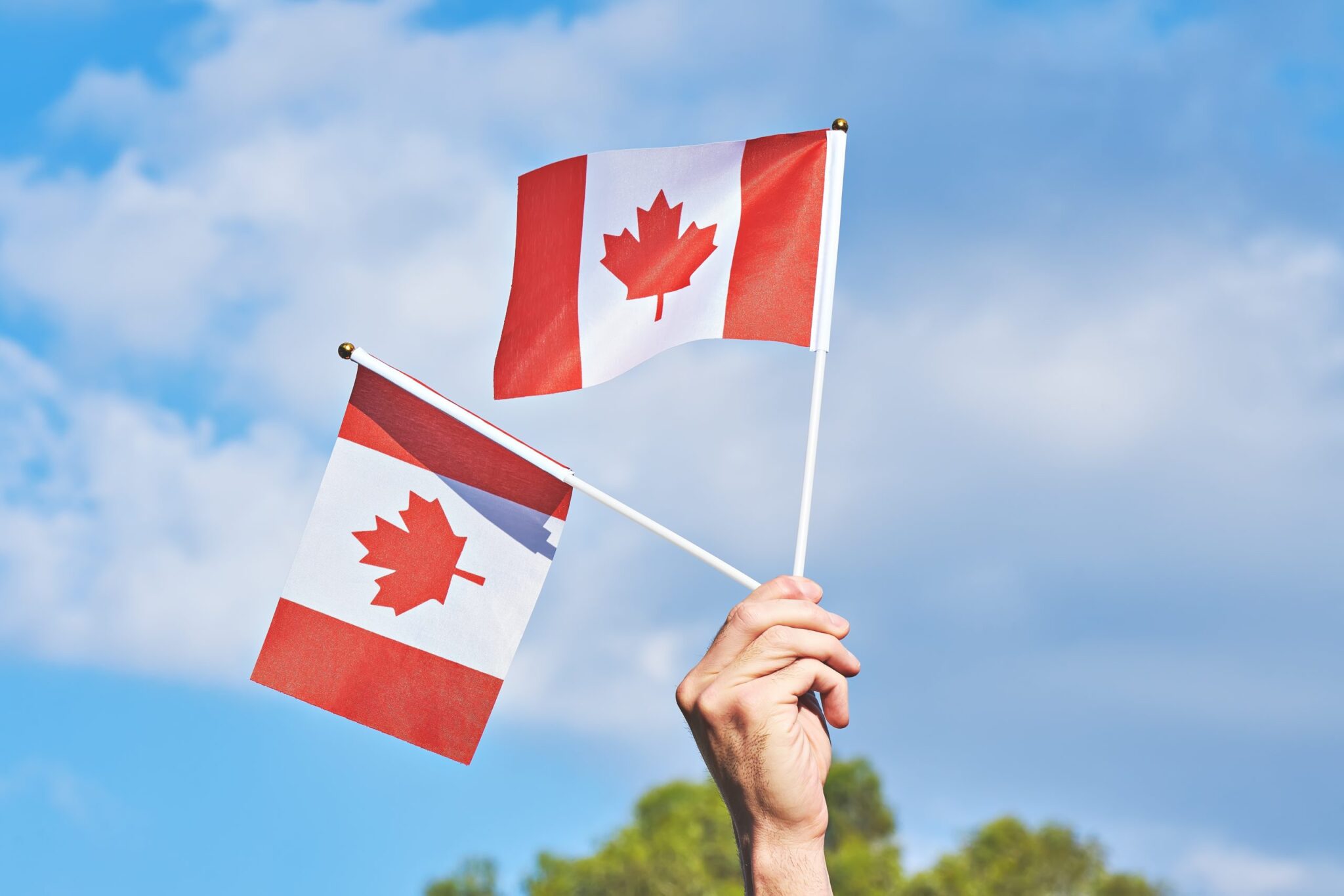 How to Get a Permanent Residence in Canada as a Foreigner – Migrate Abroad